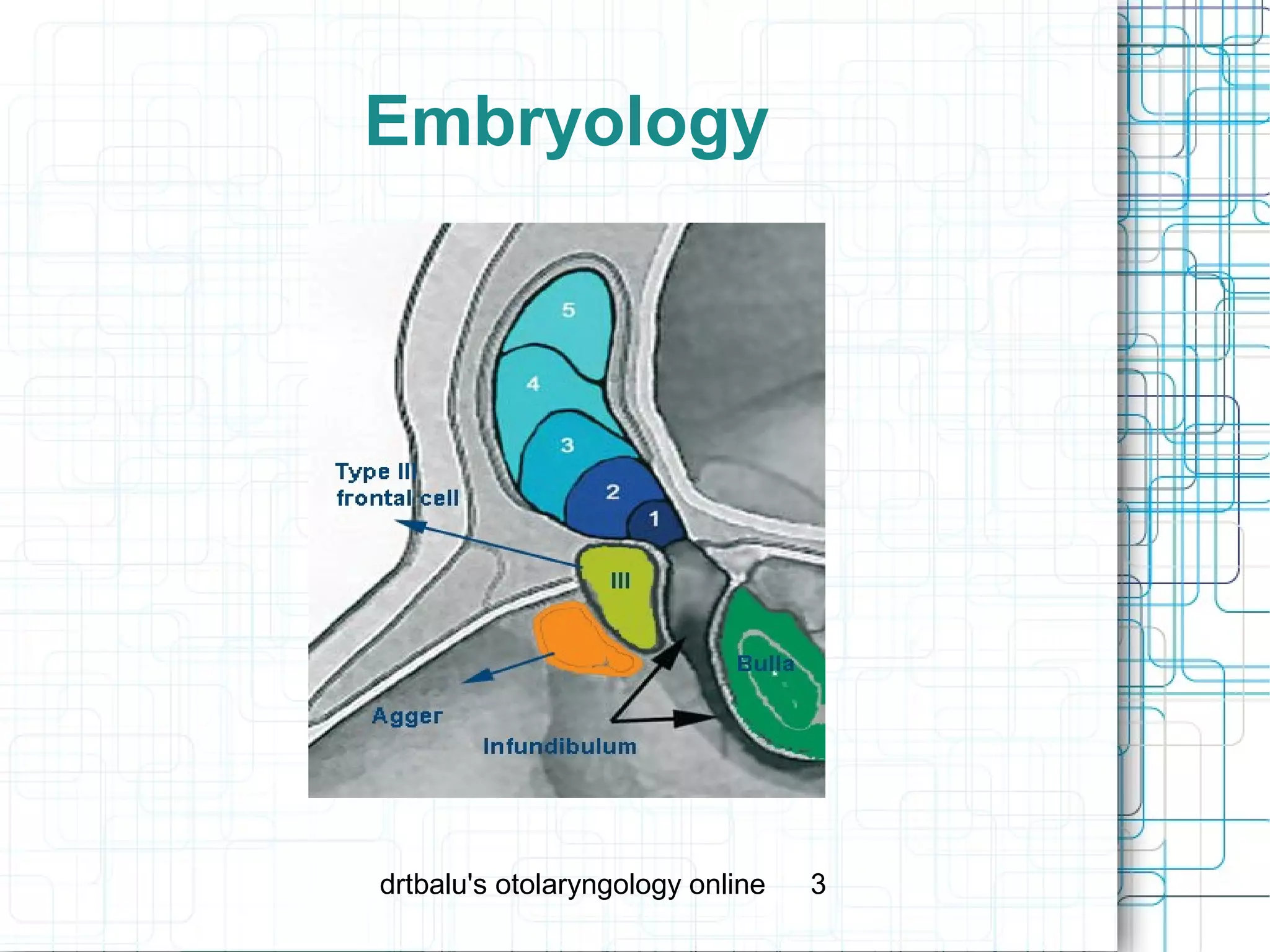 Radiological anatomy of frontal sinus | PPT