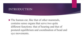 FRONT SLIDE-1.pptxear anatomy and physiology | PPT