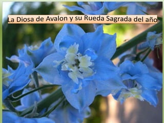 Frores exóticas | PPT