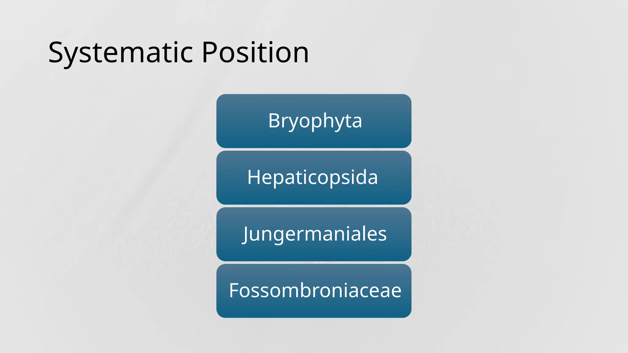 Frosombronia_ morphology, anatomy and reproduction | PPTX
