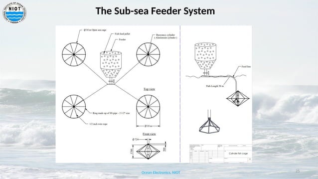 submerged fish cage aquaculture off andaman coast | PPTX | Fish and ...