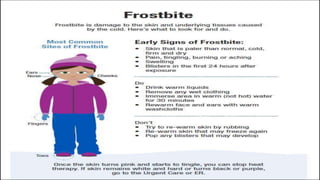 FROSTBITE | PPTX