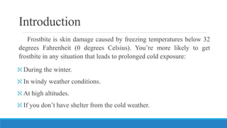 FROST BITE.pptx