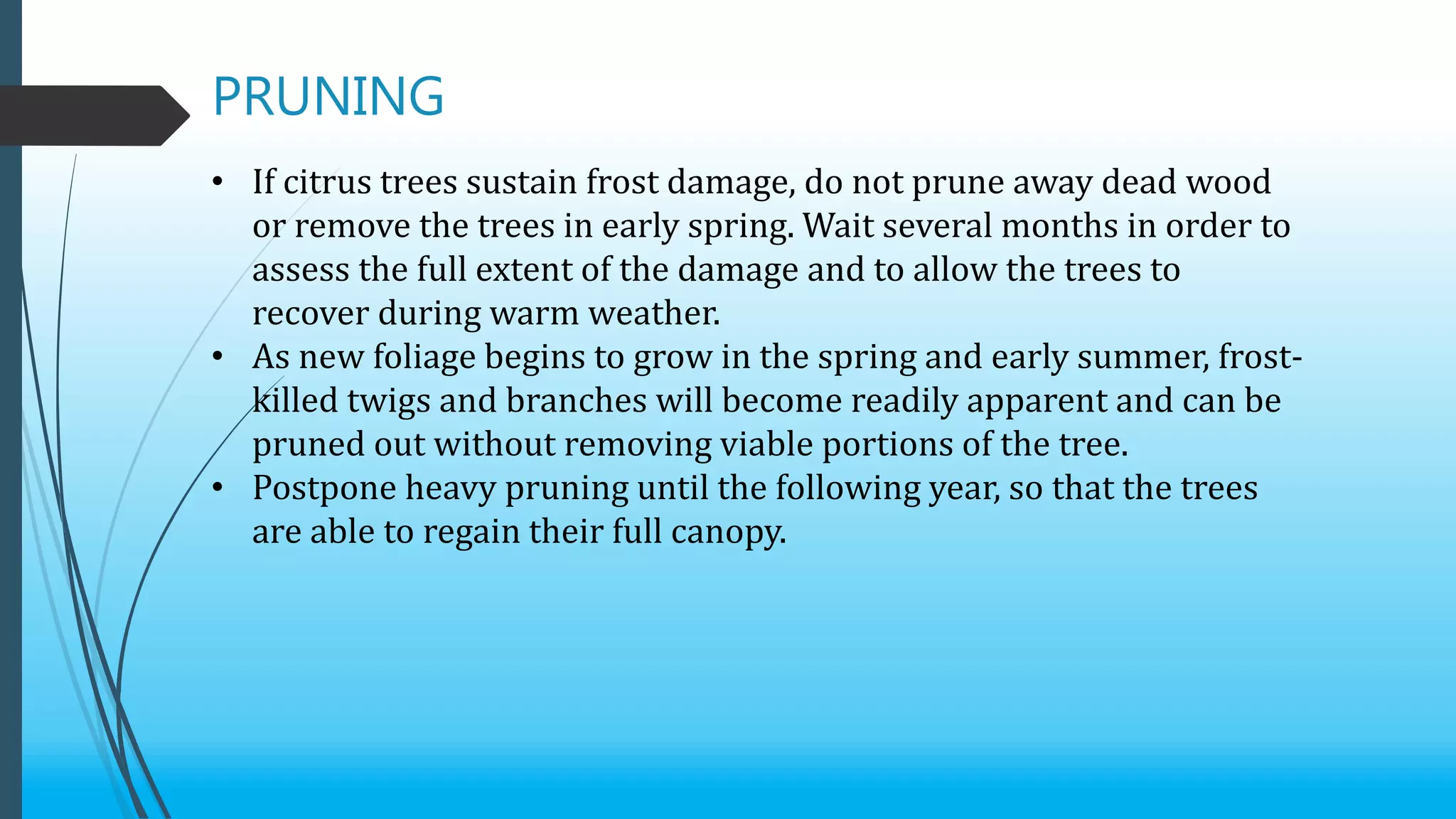 Frost protection & winter injury in plants ppt | PPTX