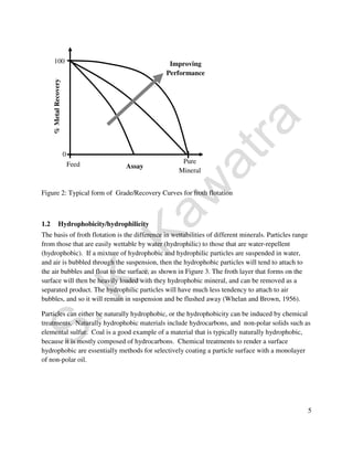 Froth flotation | PDF