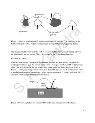 Froth flotation | PDF