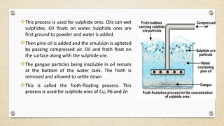 Froth+flotation | PPTX