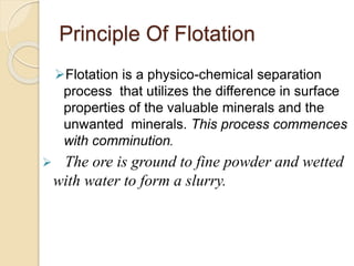 Froth flotation | PPTX