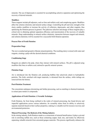 Froth Flotation: An Advanced Process in Mineral and Wastewater Treatment | PDF