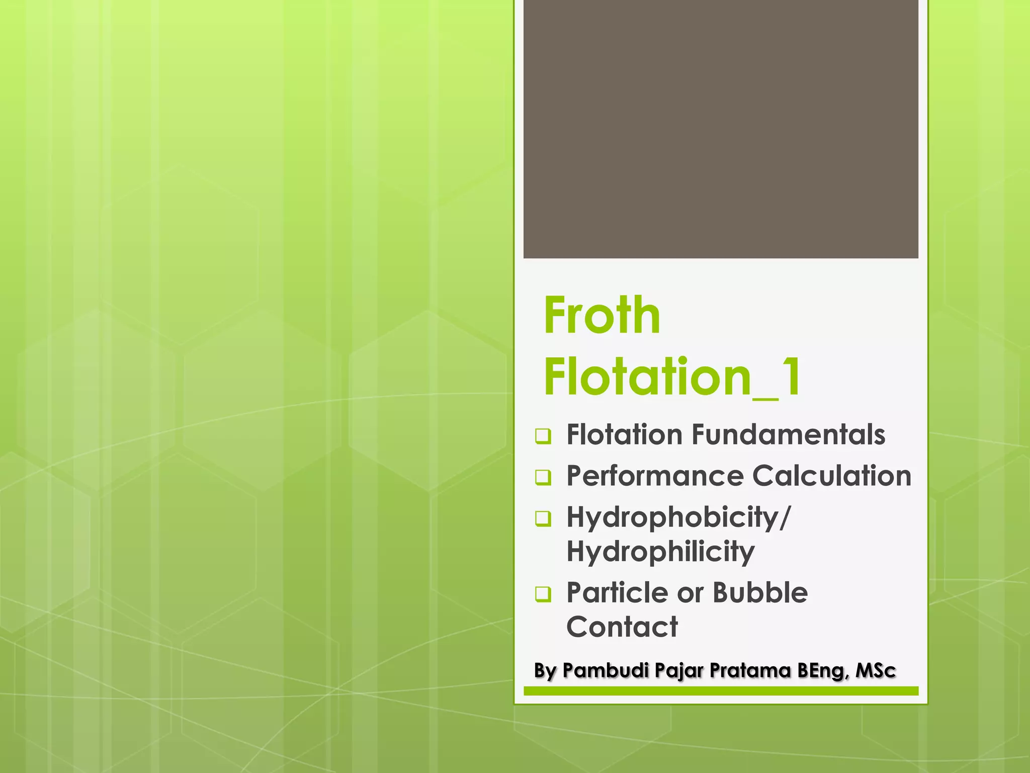 Froth Flotation_1 | PPTX