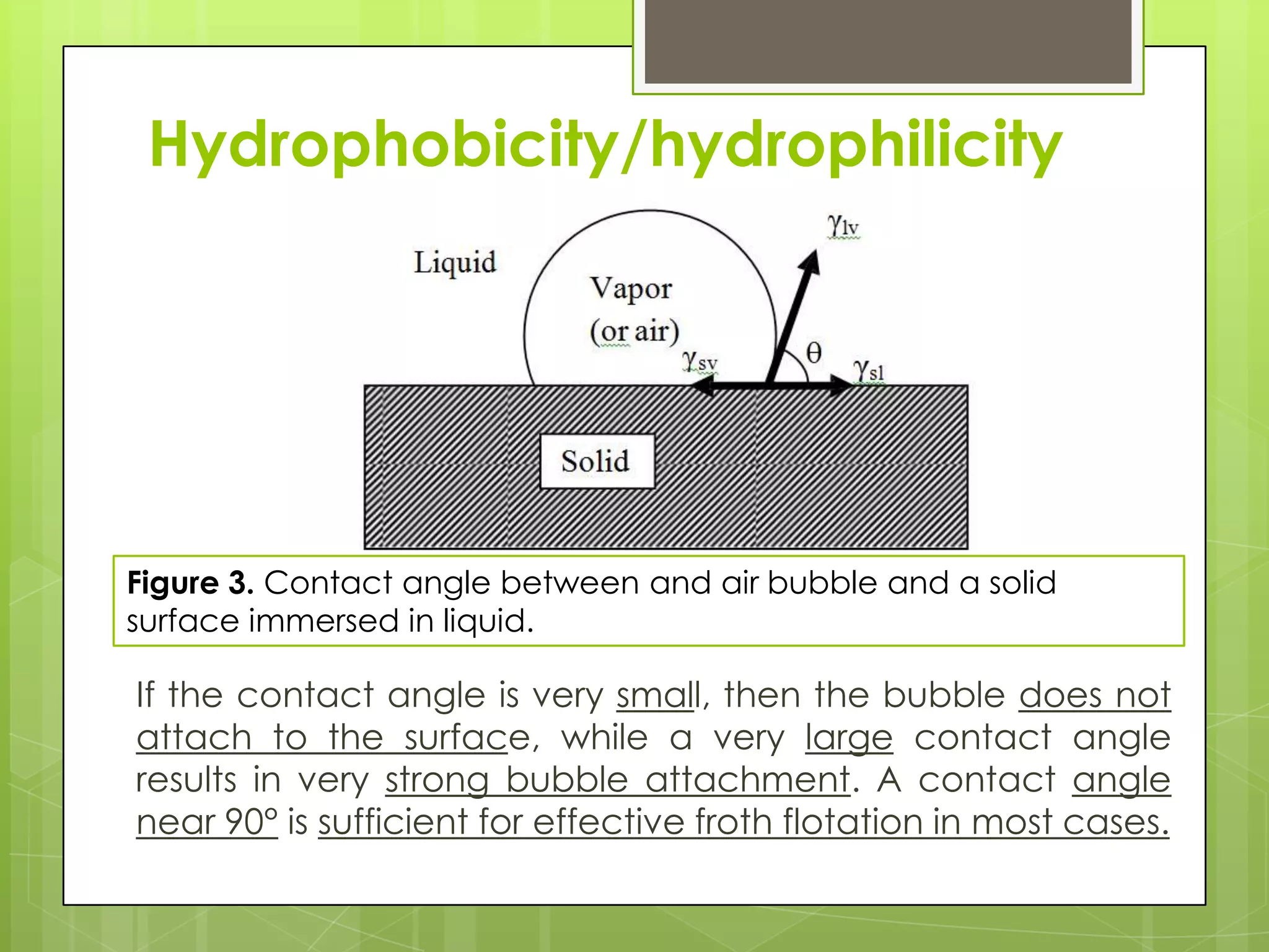 Froth Flotation_1 | PPTX | Chemistry | Science