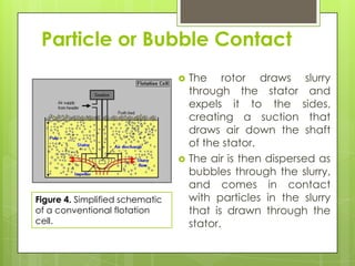 Froth Flotation_1 | PPTX