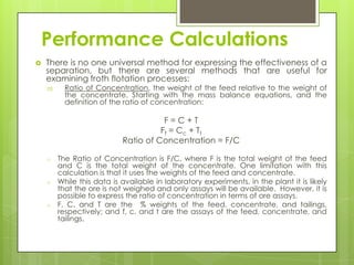 Froth Flotation_1 | PPTX
