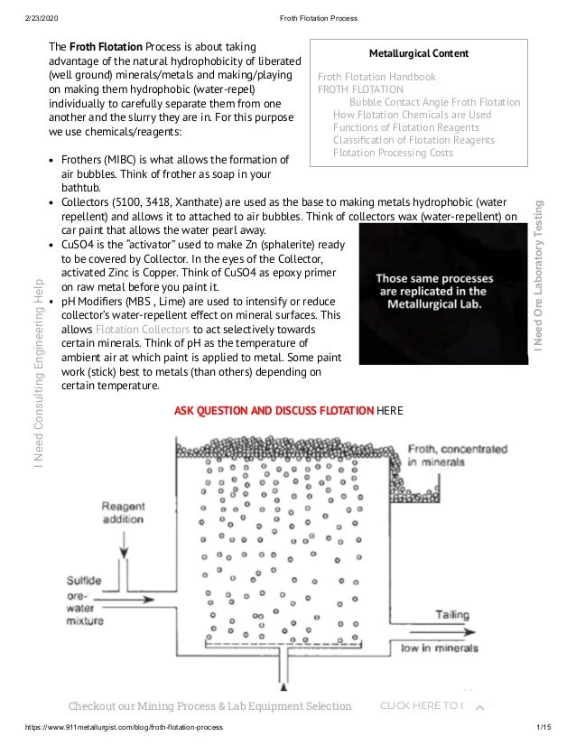 Froth Flotation Process.pdf
