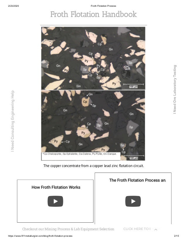 Froth Flotation Process.pdf
