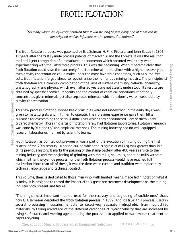 Froth Flotation Process.pdf