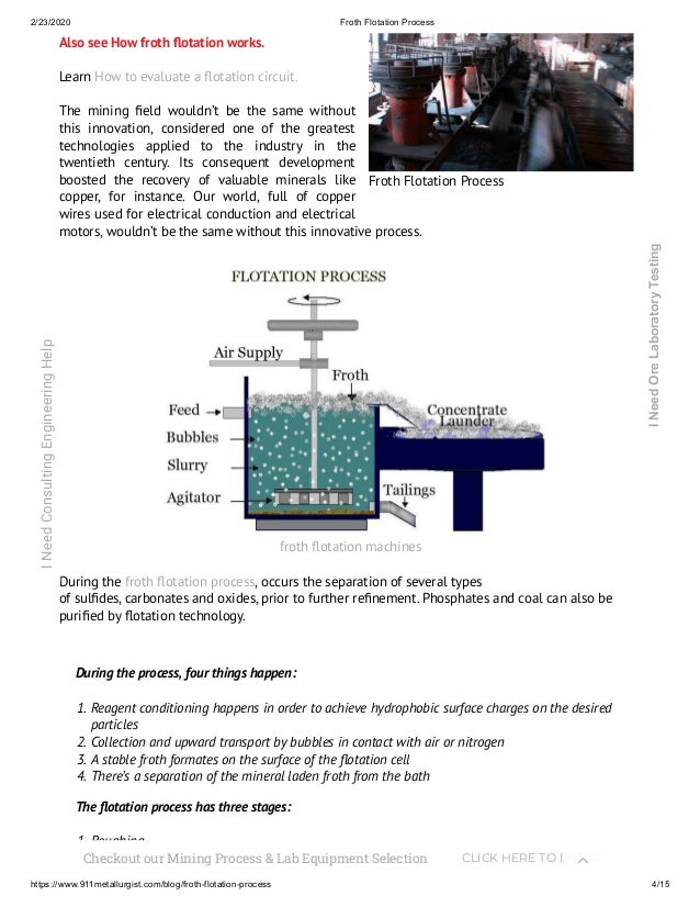 Froth Flotation Process.pdf