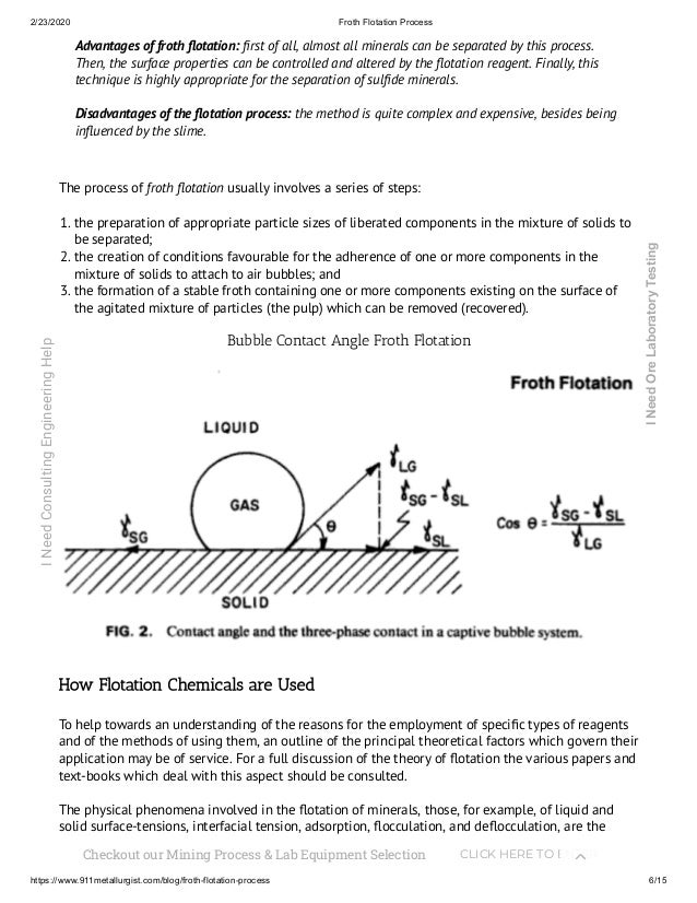 Froth Flotation Process.pdf