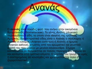 Froyta | ODP