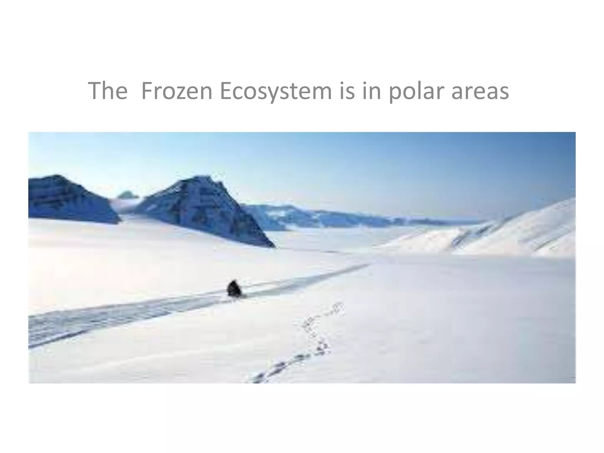 Frozen ecosystem | PPTX