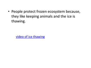 Frozen ecosystem | PPT