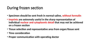 Frozen section i pathology pptc for Post graduate | PPTX