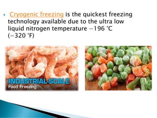 FROZEN FOOD TO LASSI.pdf