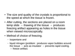 Frozen section | ODP