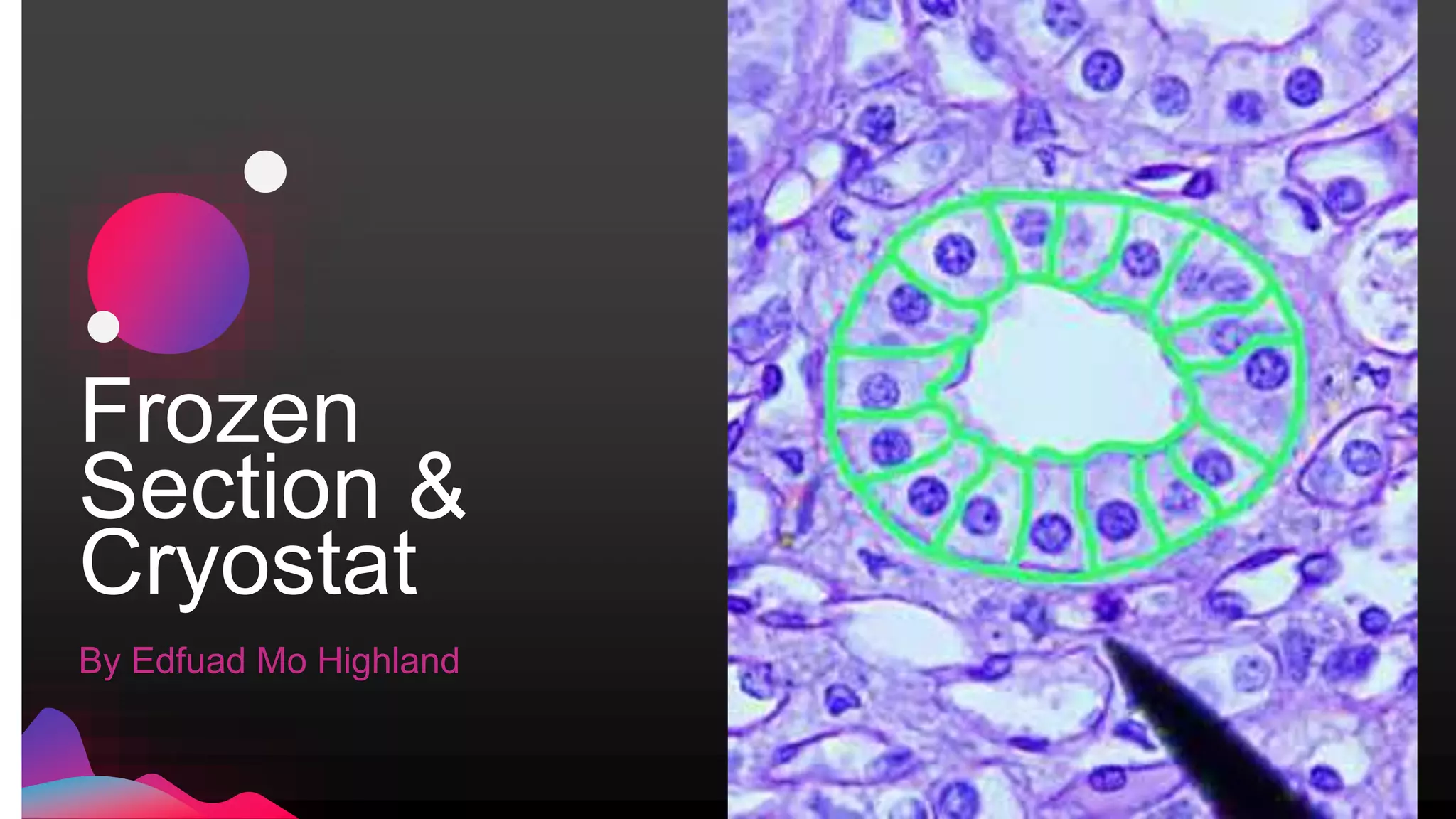 Frozen section & cryostat | PPT