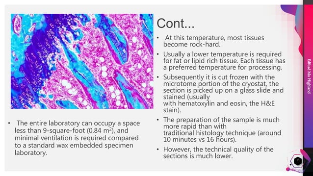 Frozen section & cryostat | PPT