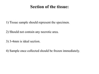 Frozen sections and other intraoperative | PDF