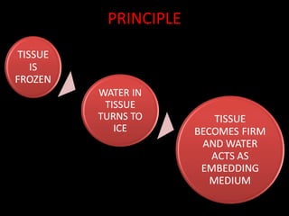 Frozen section overview and application | PPT