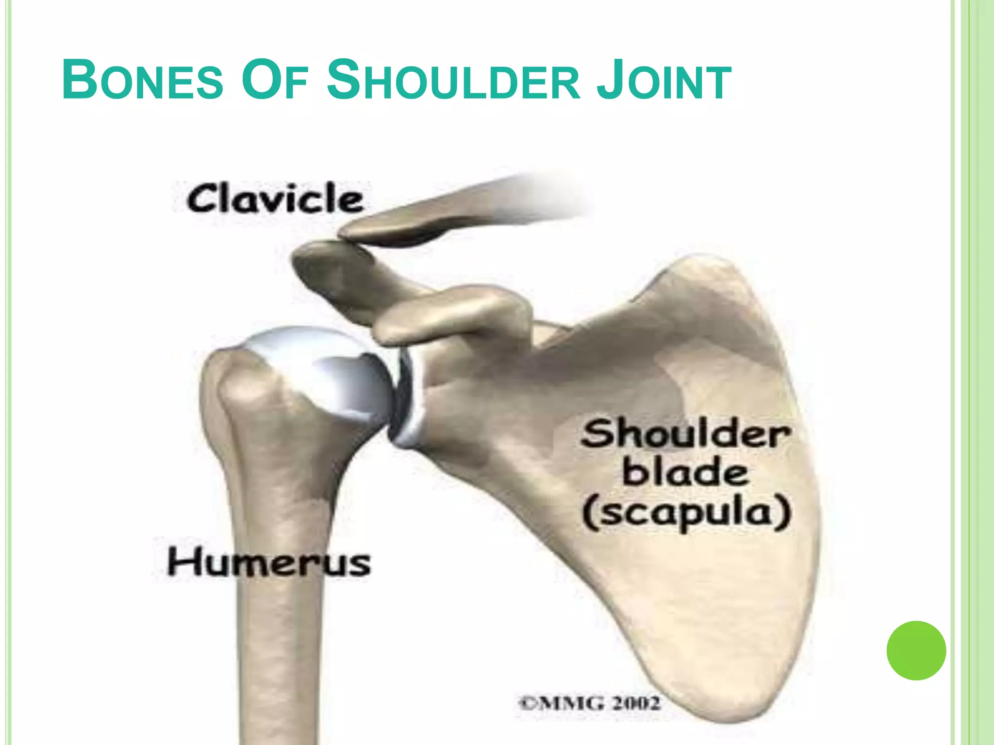 Frozen Shoulder Ppt