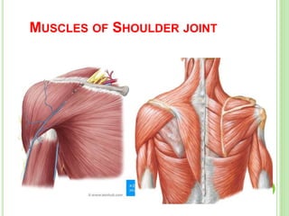 Frozen shoulder | PPTX