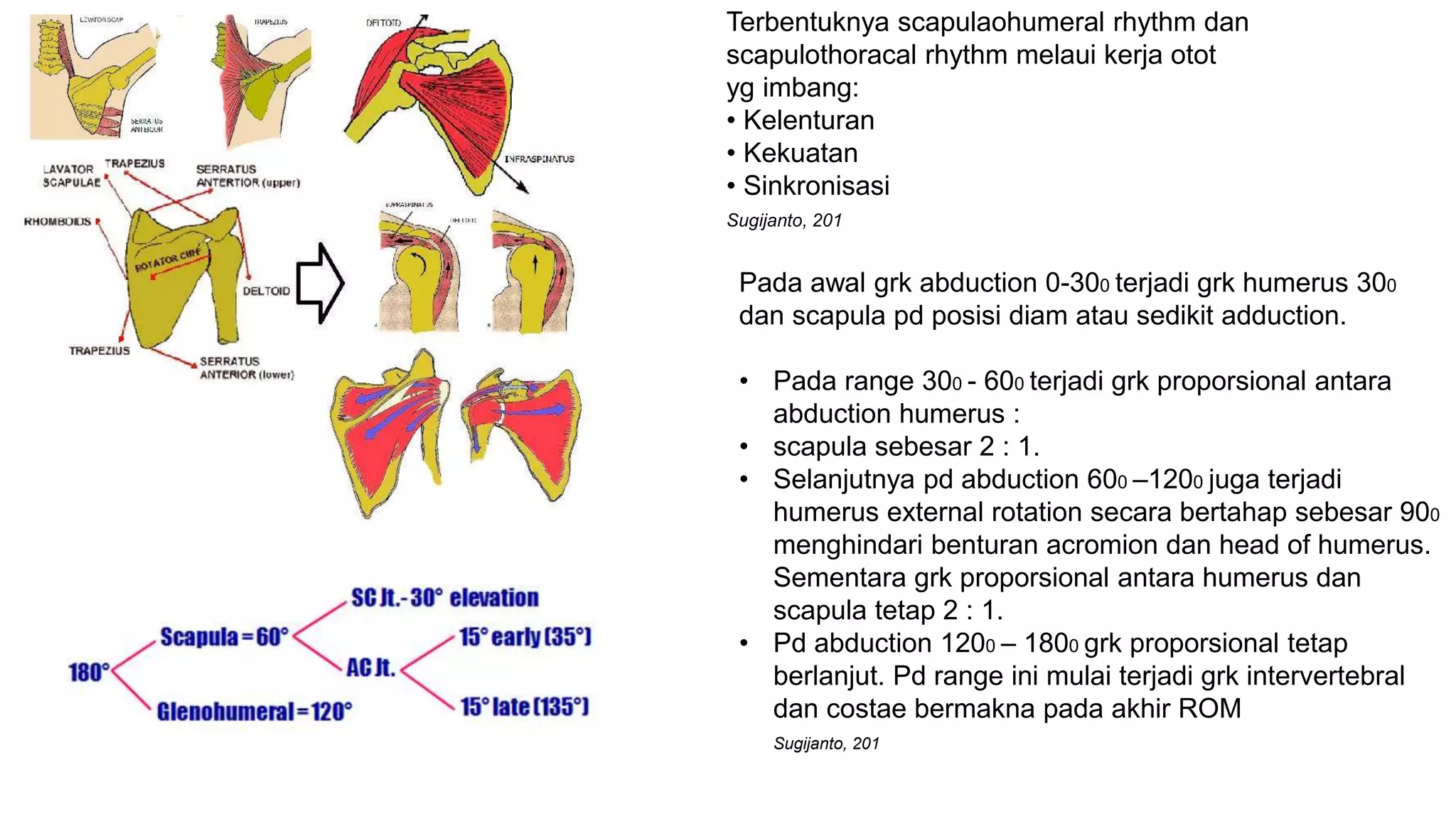 Frozen Shoulder.pptx