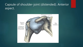 Frozen shoulder and homeopathy treatment | PPT