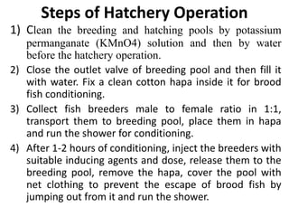 Frp carp hatchery | PPTX