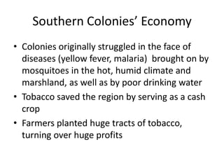 Southern Colonies Economy
