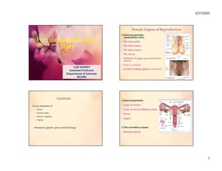 Female reproductive organs MBBS .FRS.pdf