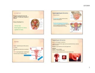 Female reproductive organs MBBS .FRS.pdf