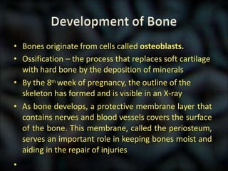 FRS 304 Forensic Anthropology-Introduction.pptx