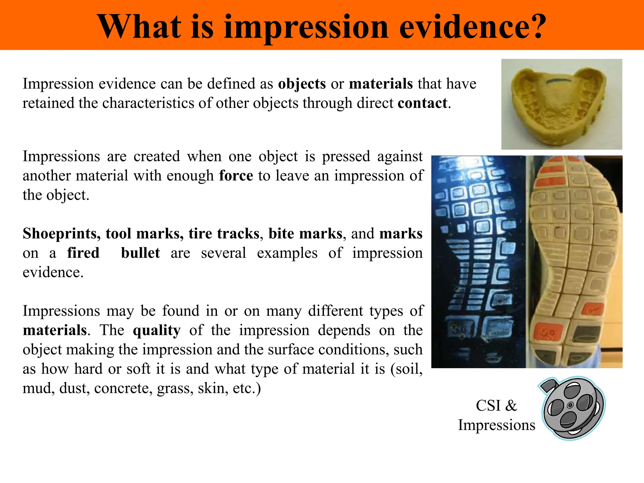 FRS 310 Bite mark evidence.ppt