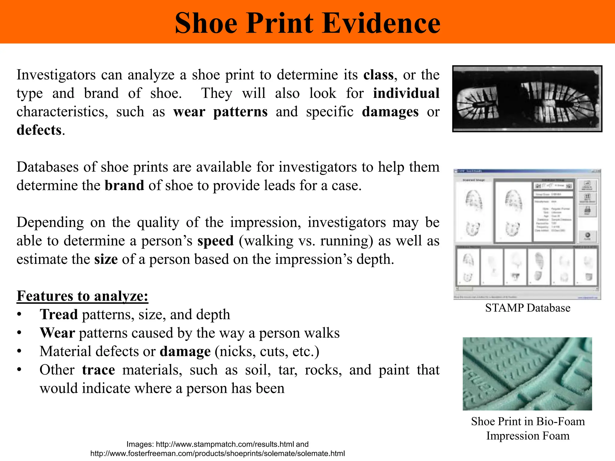 FRS 310 Bite mark evidence.ppt