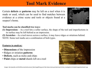 FRS 310 Bite mark evidence.ppt