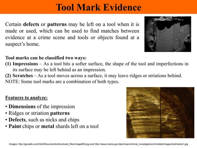 FRS 310 Bite mark evidence.ppt