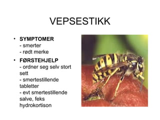 Førstehjelp | PPT