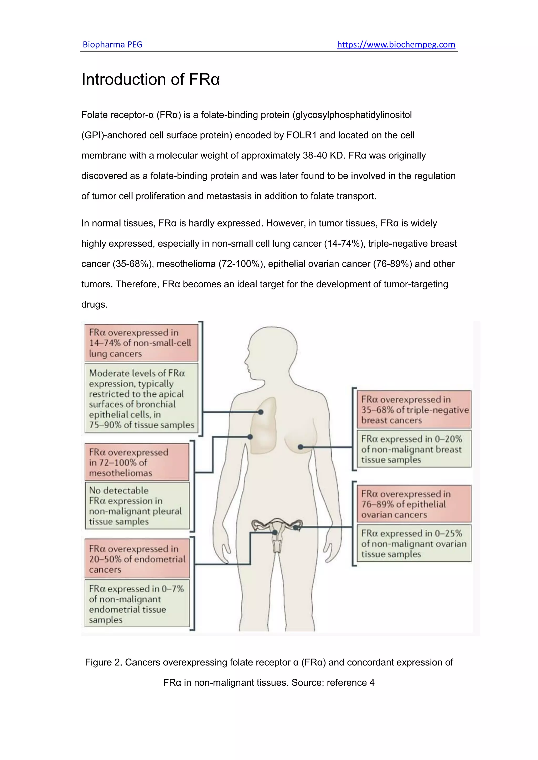 FRα Targeting ADCs for Ovarian cancer.pdf
