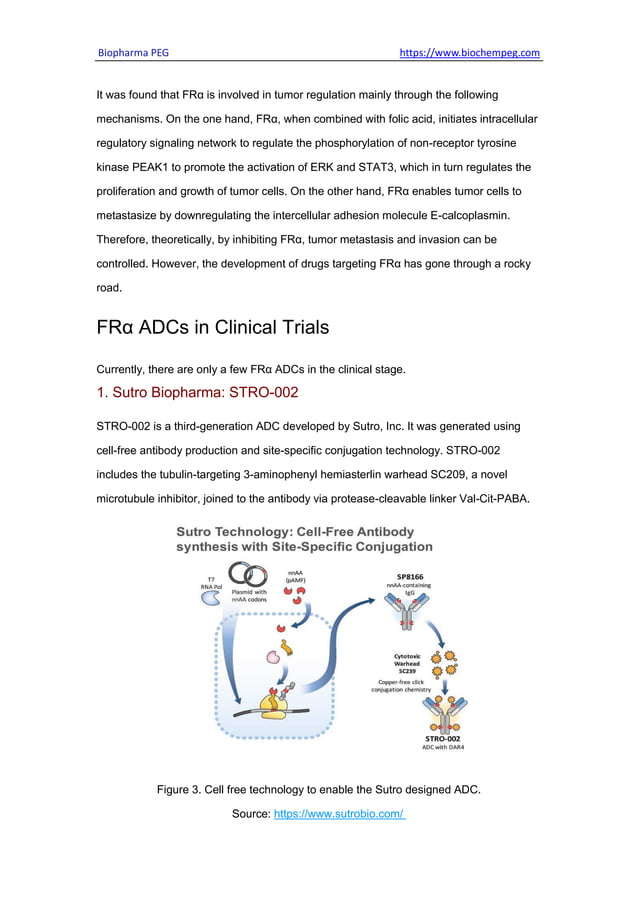 FRα Targeting ADCs for Ovarian cancer.pdf
