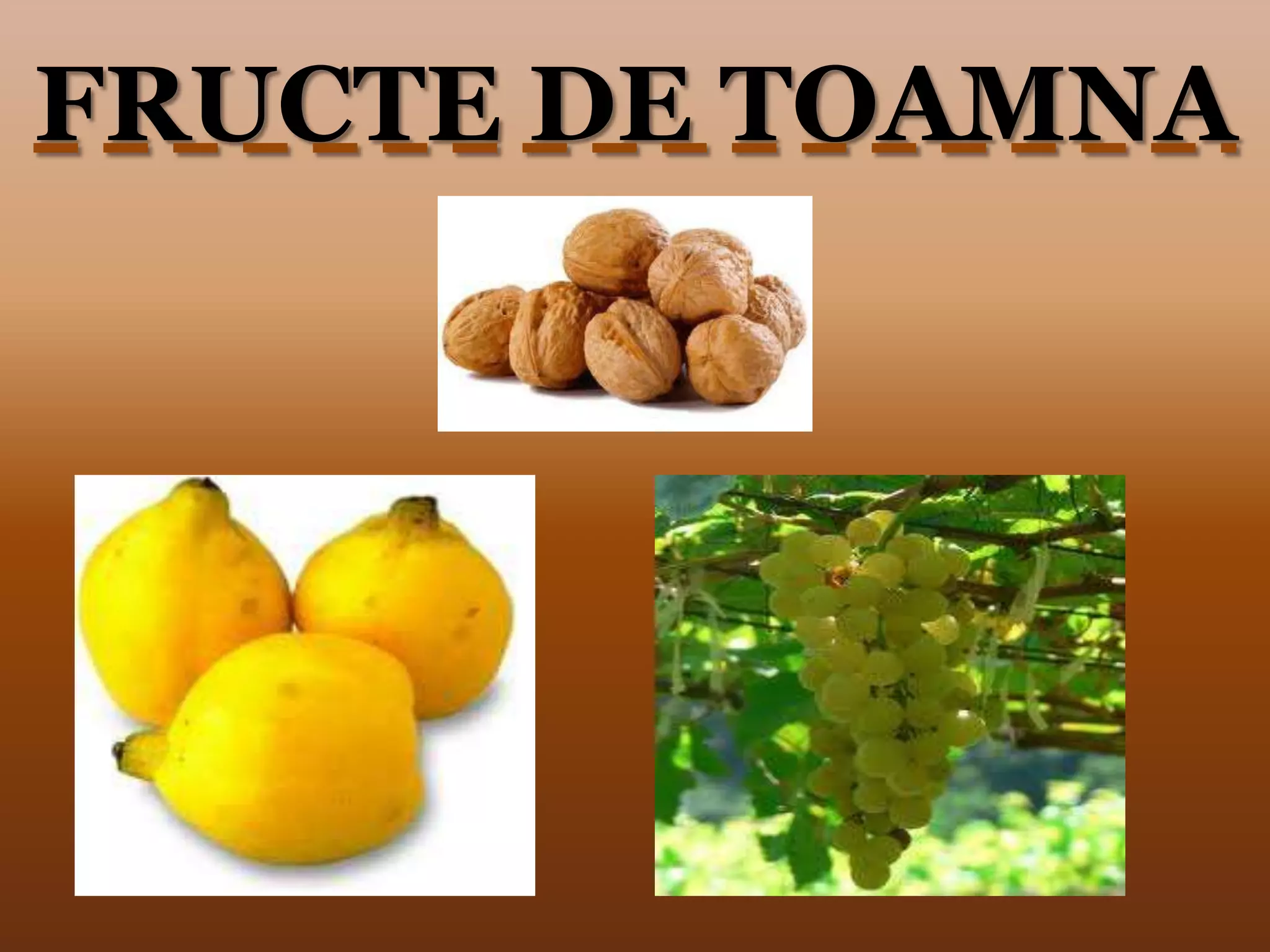 Fructe de toamna | PPTX
