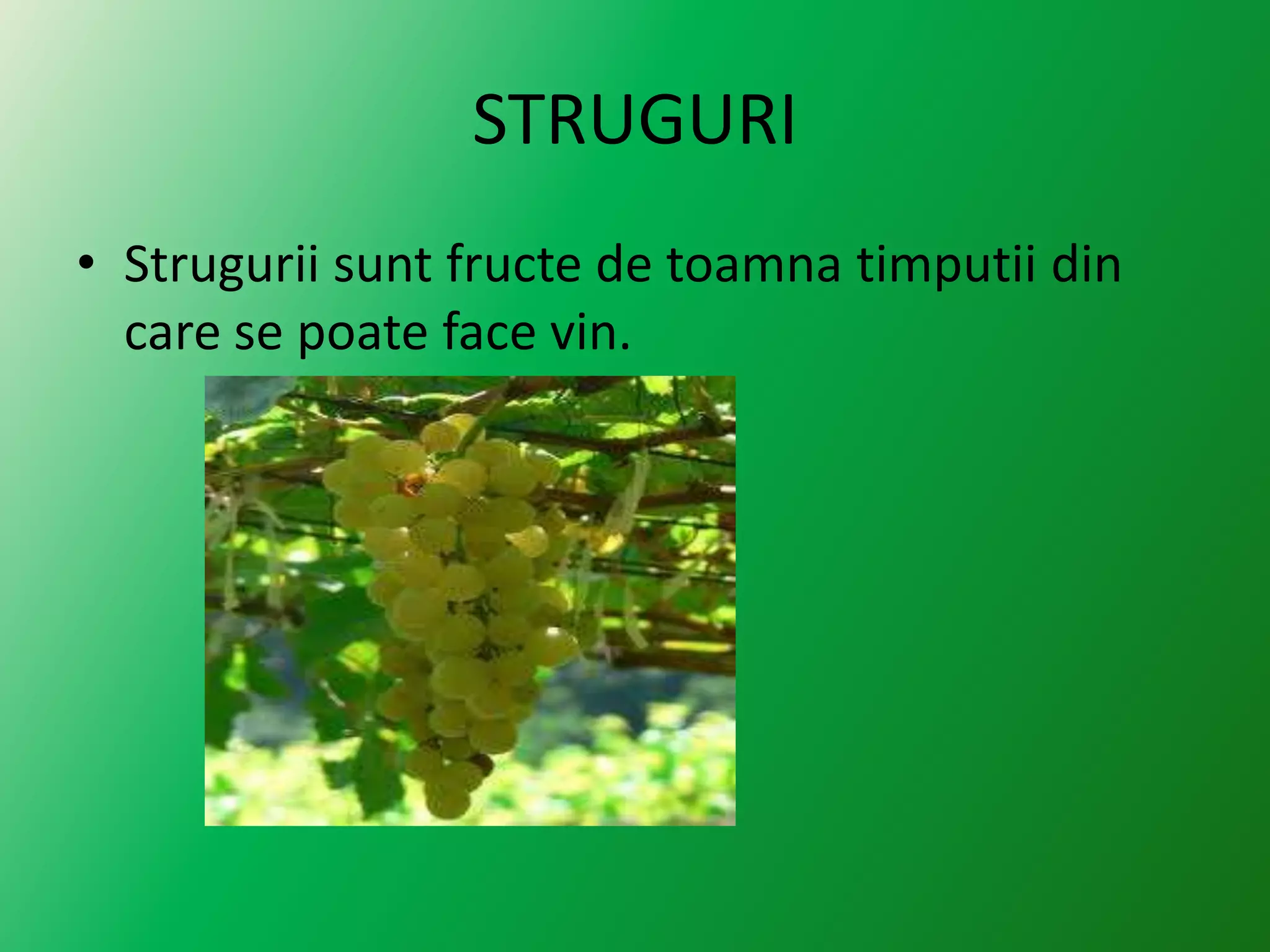 Fructe de toamna | PPTX